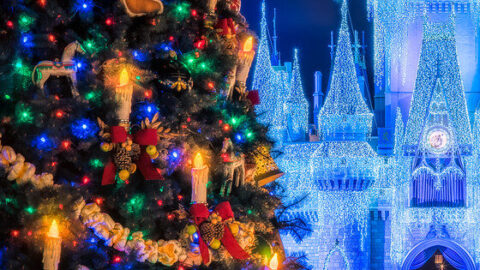 Watch Disney World Transform Magic Kingdom from Halloween to Christmas ...