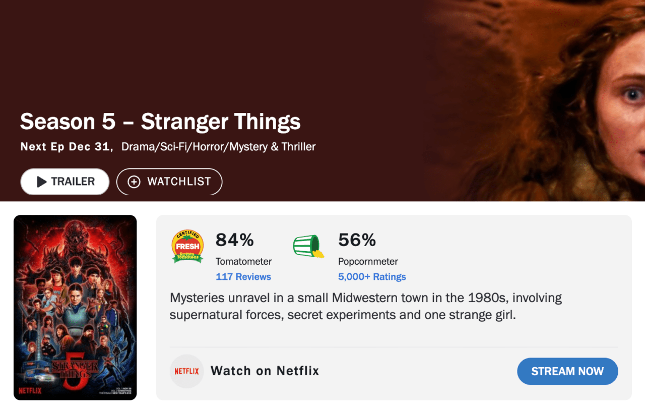 Netflix Cancels Duffer Brothers' Next Project After Stranger Things Finale